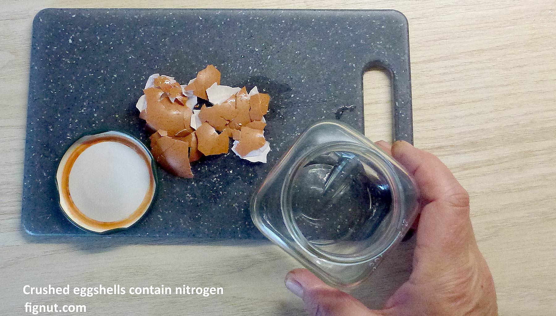 Homemade Rooting Hormone (with Photos & Video) - FigNut