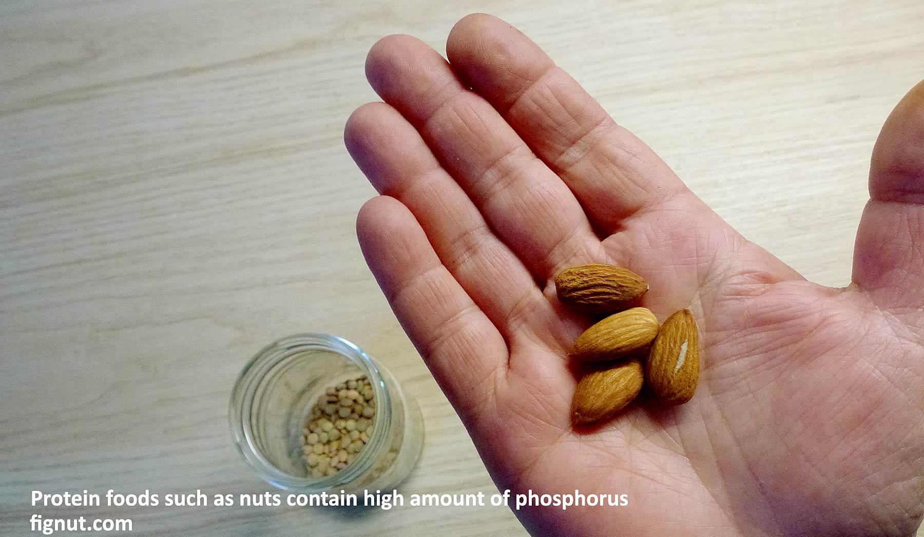 Homemade Rooting Hormone (with Photos & Video) - FigNut