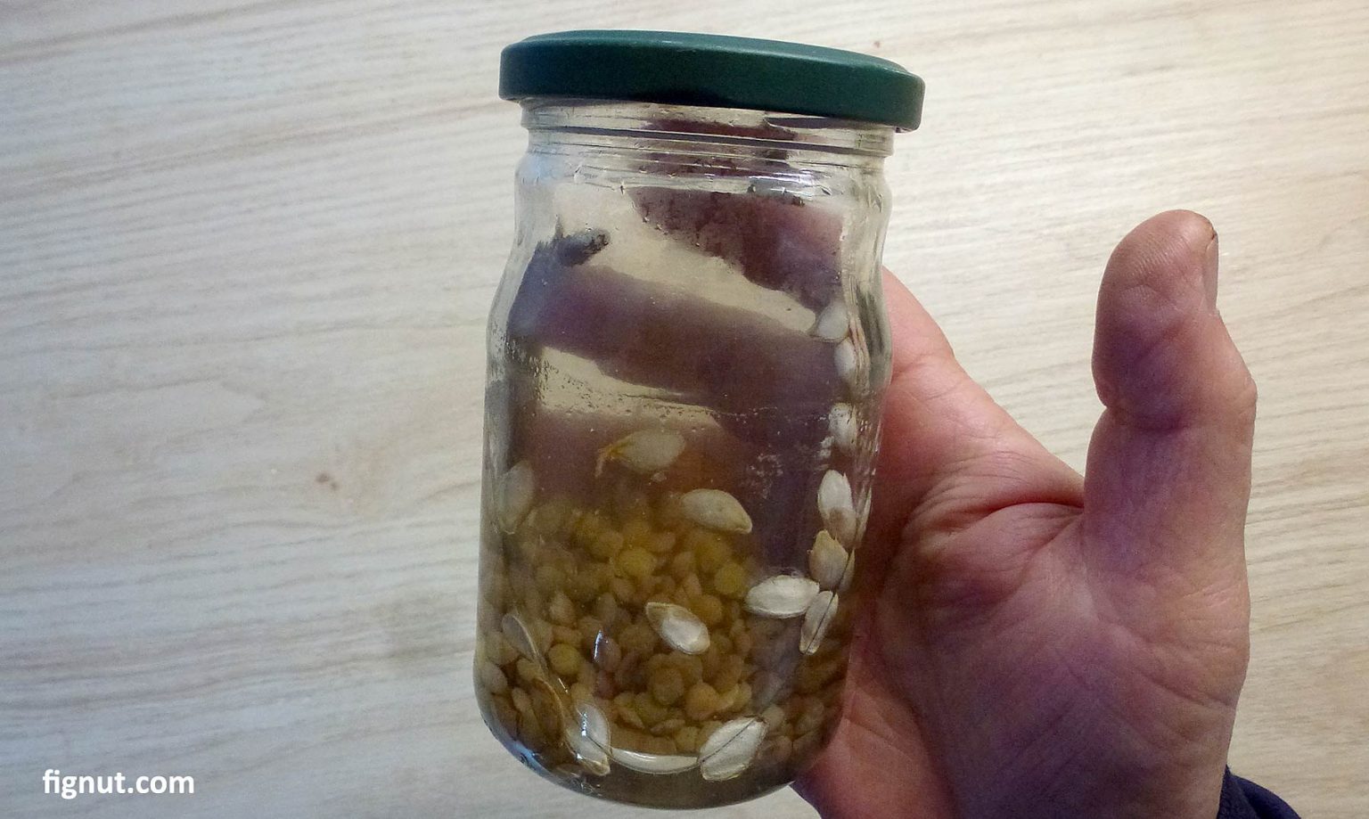Homemade Rooting Hormone (with Photos & Video) - FigNut
