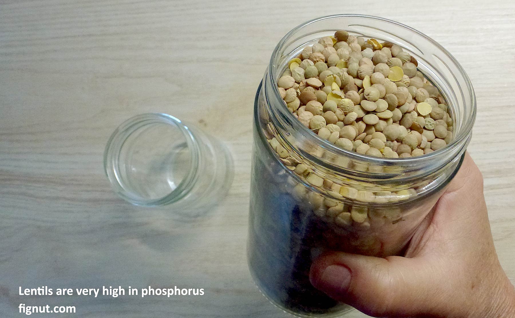 Homemade Rooting Hormone (with Photos & Video) - FigNut