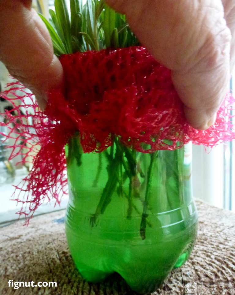 How To Propagate Lavender From Cuttings (with Photos & Video)