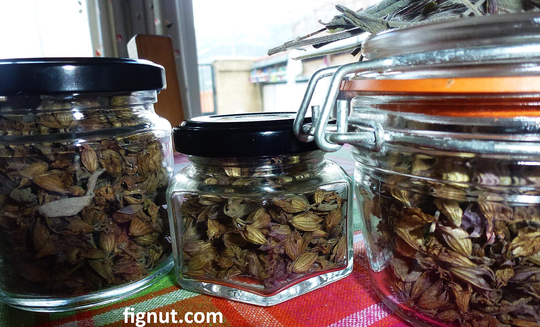 How to Store Dried Sage Flowers and Leaves - FigNut