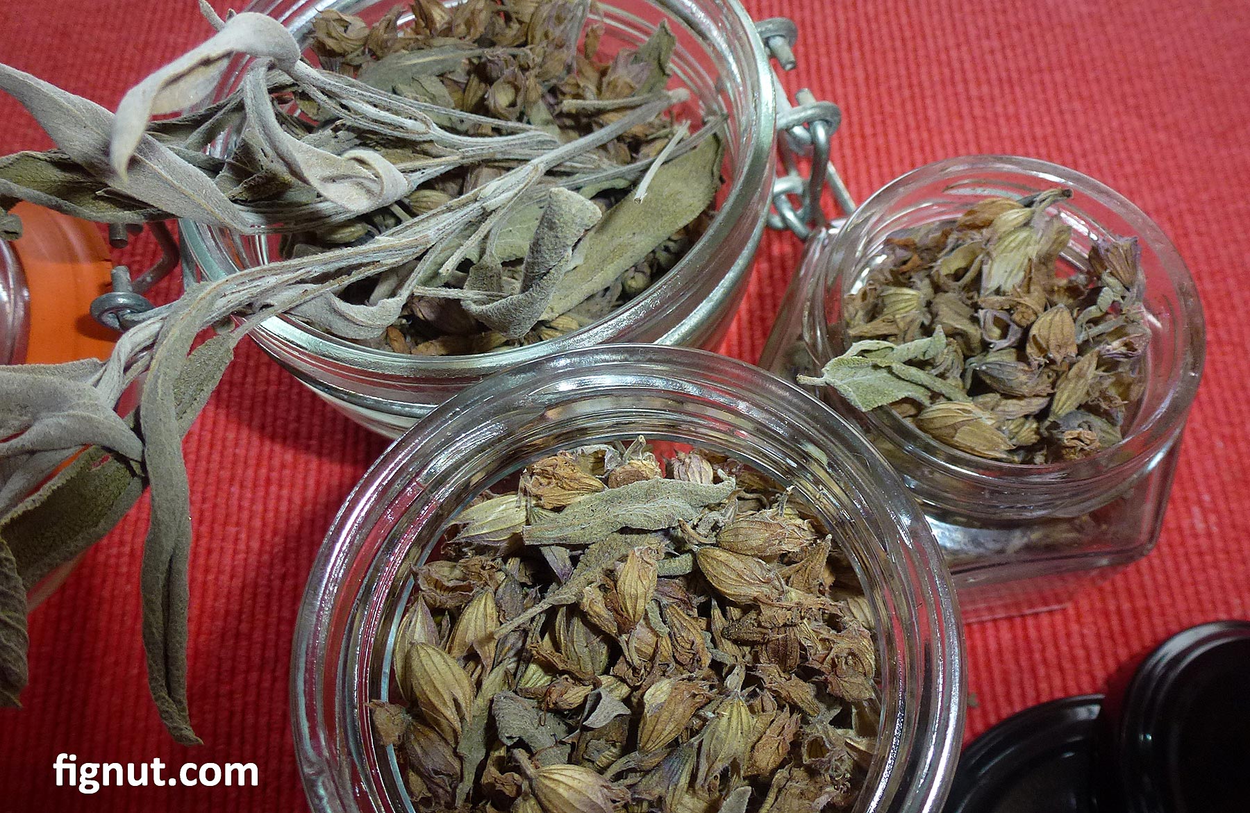 How to Store Dried Sage Flowers and Leaves - FigNut